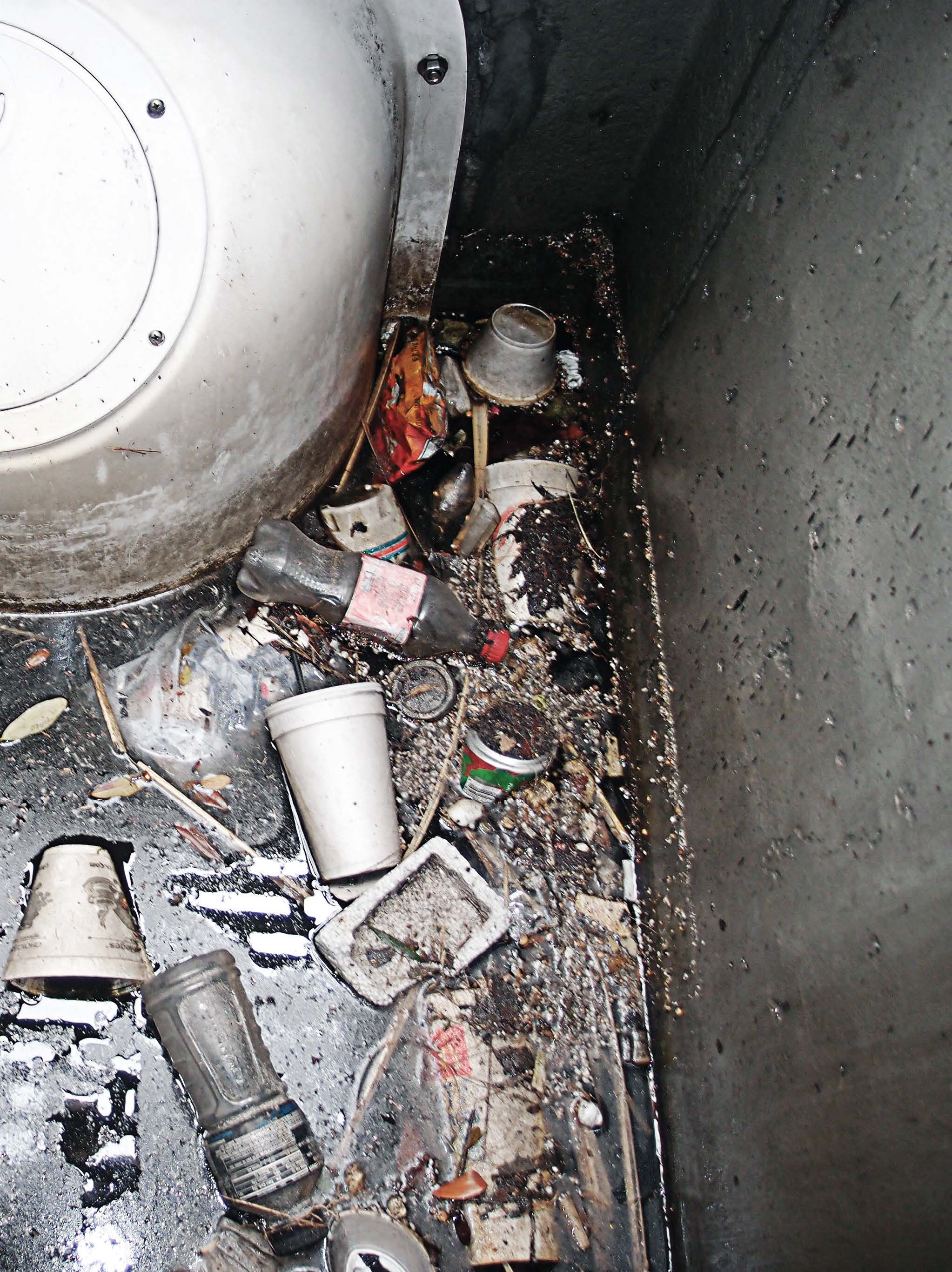 Tackling stormwater pollution is a team effort - The Municipal