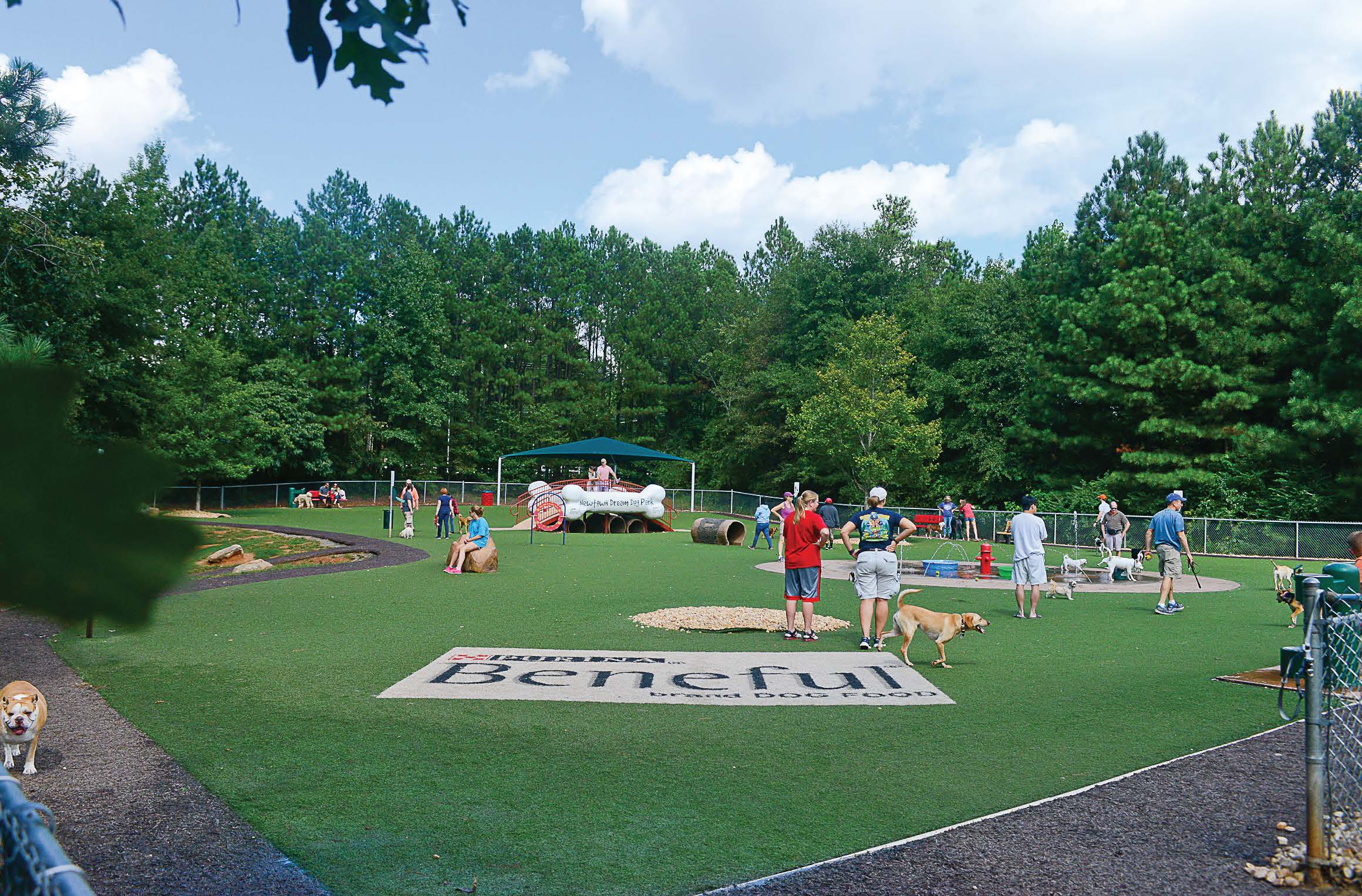 Creating A Successful Dog Park The Municipal