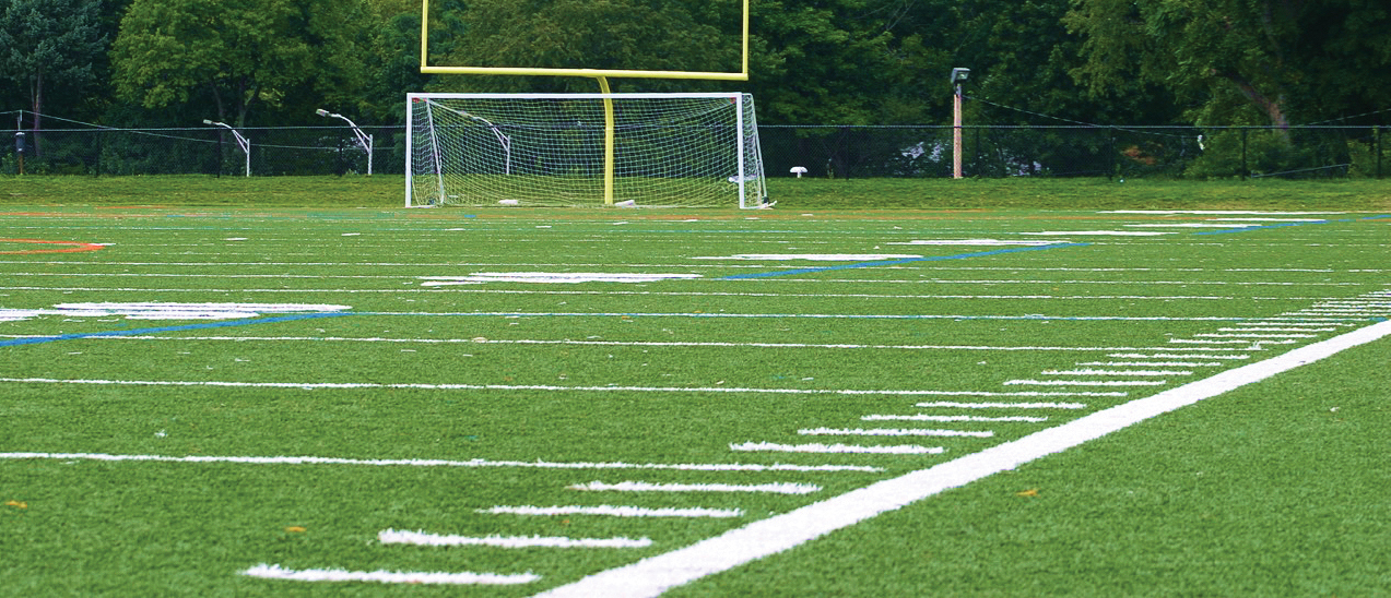 Sustainable playing fields for cities and towns - The Municipal