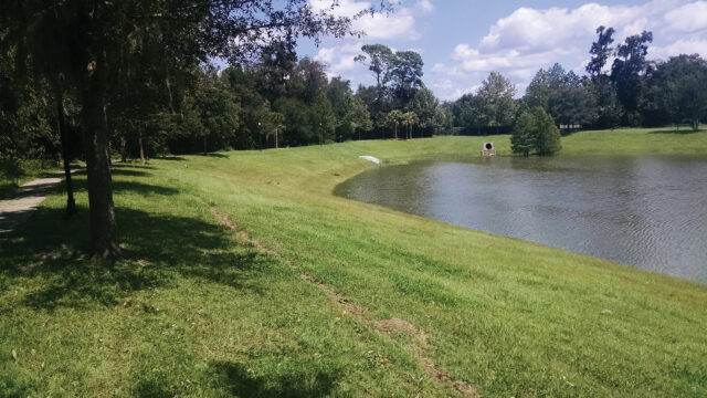 Home - The Municipal