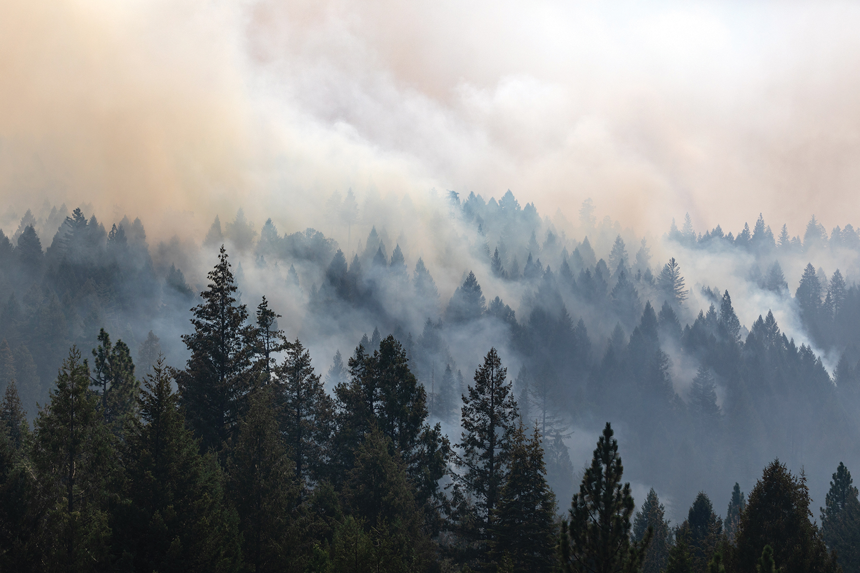 Revolutionary wildfires map offers real-time edge against fires