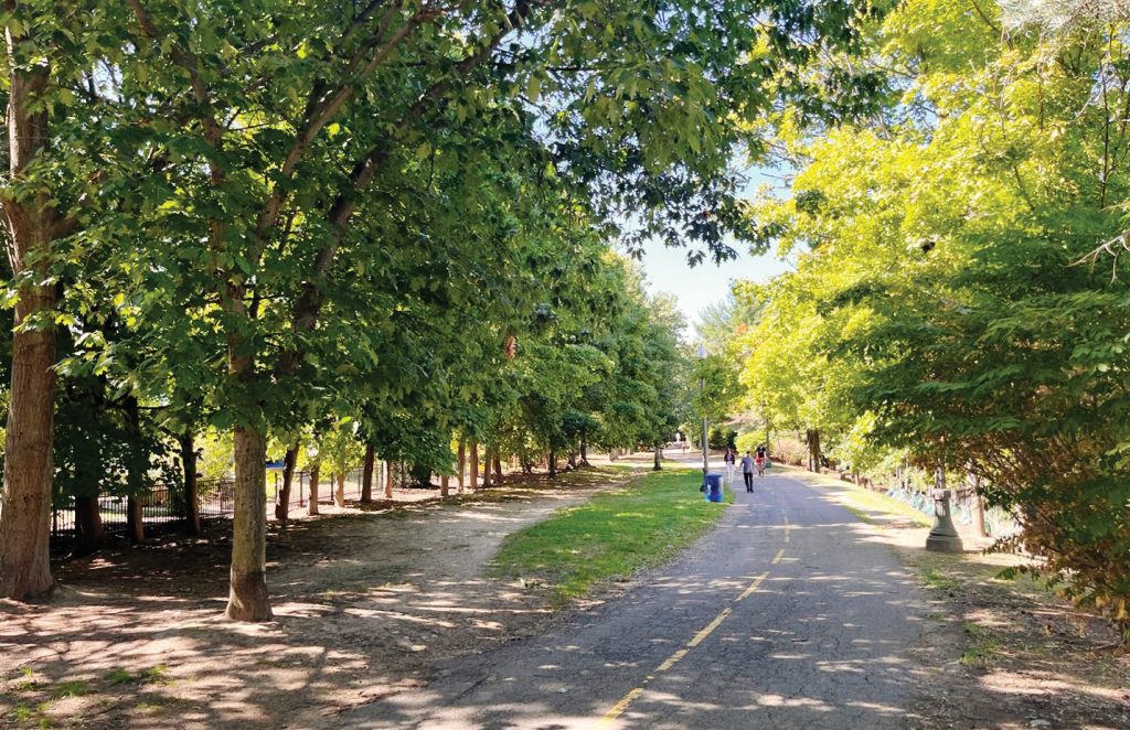Cambridge launches Linear Park redesign - The Municipal